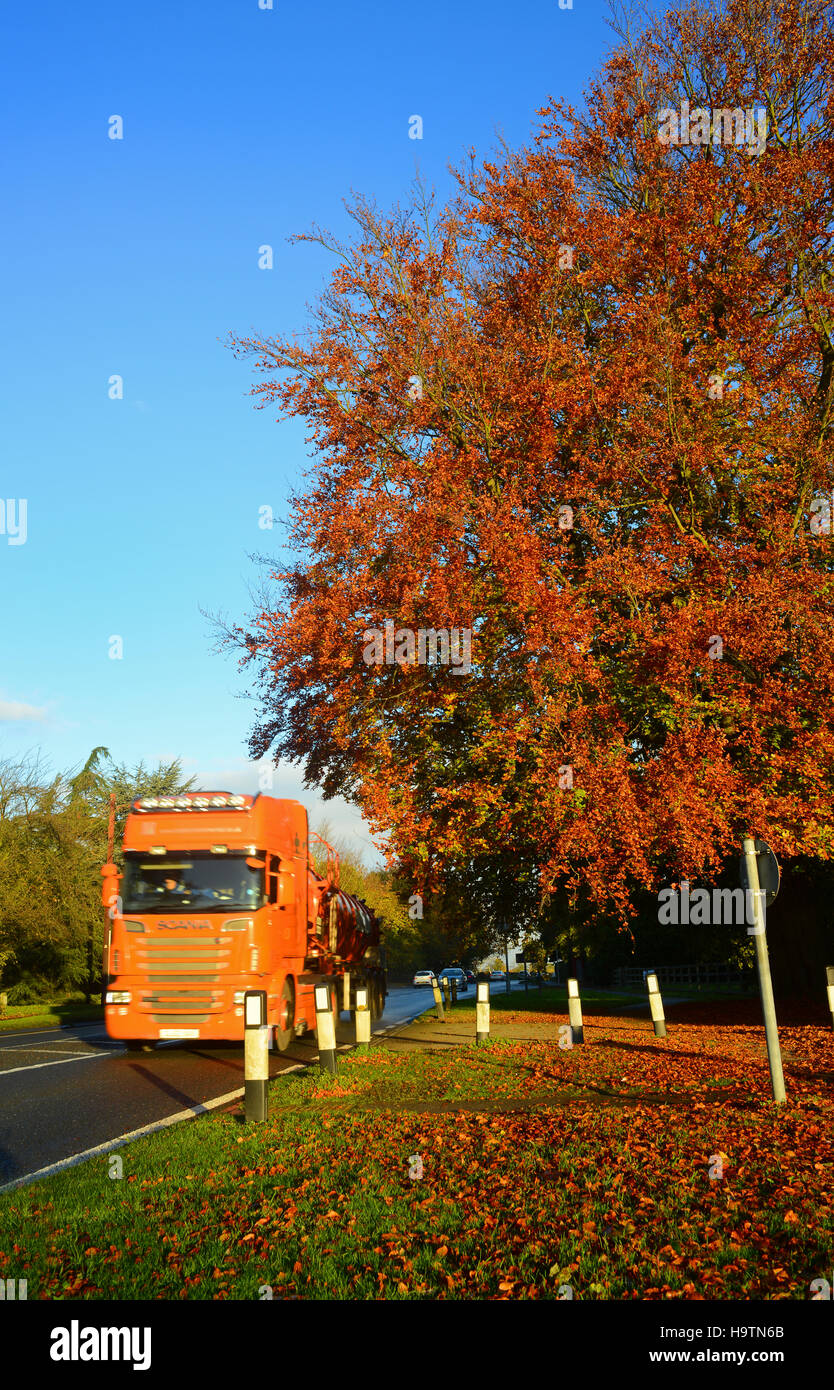 lorry travelling on country by autumn coloured trees near york ...