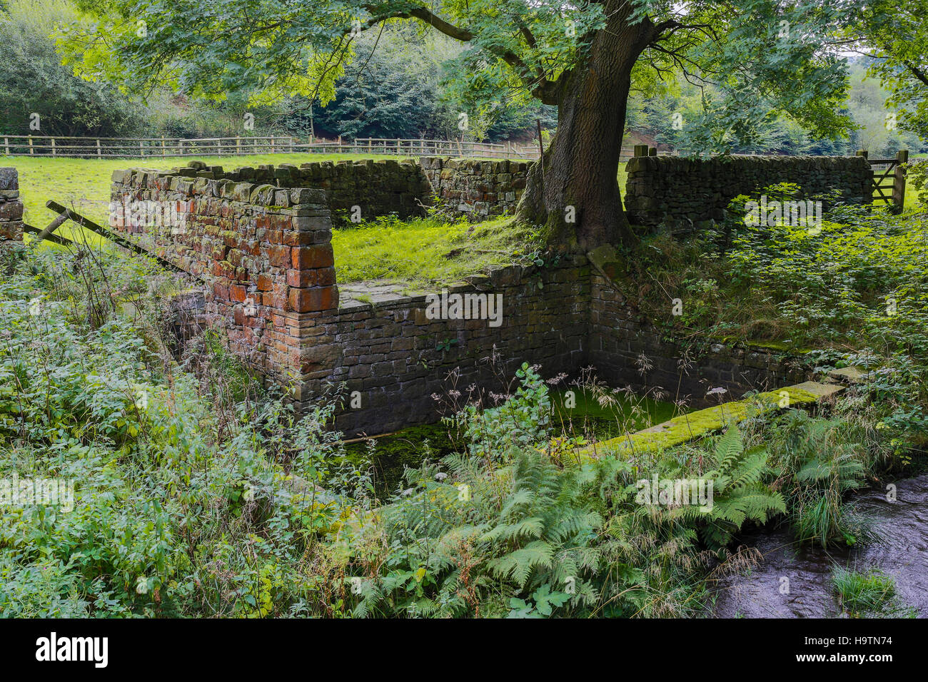Overgrown and derelict sheep dip in the Kinder Valley Stock Photo - Alamy