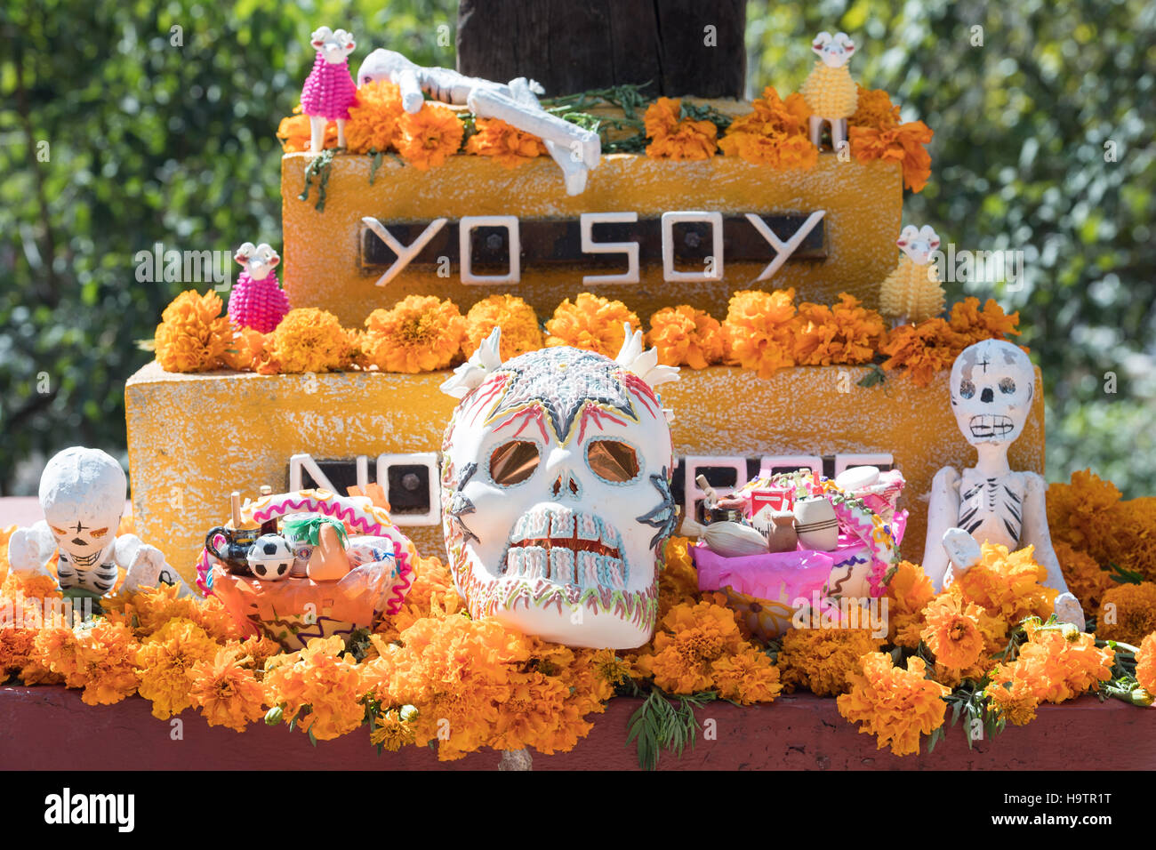 An altar known as an ofrenda decorated for Day of the Dead festival in ...
