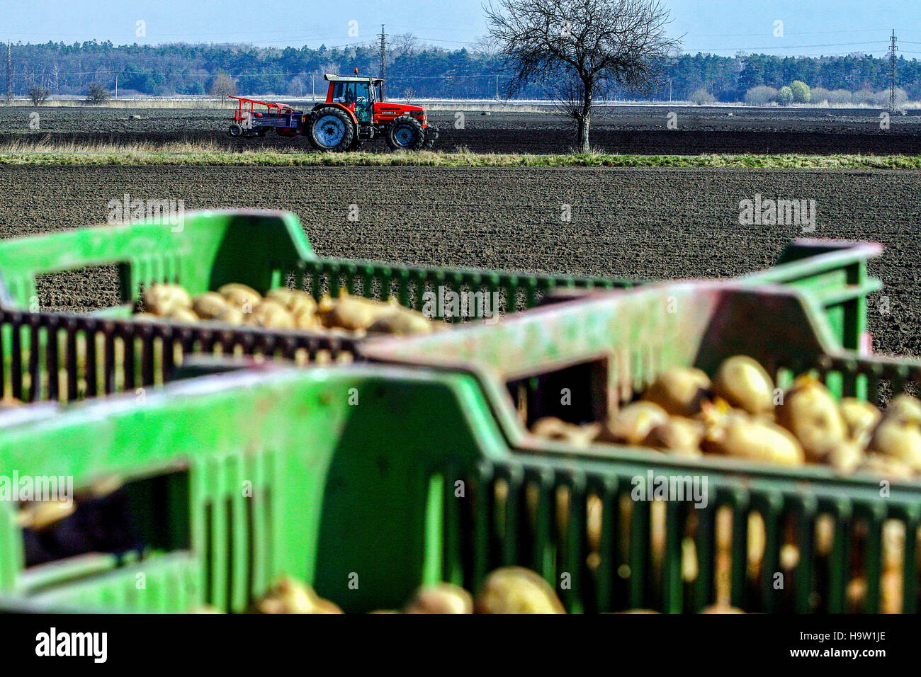 Spring agricultural tractor sowing hi-res stock photography and images ...