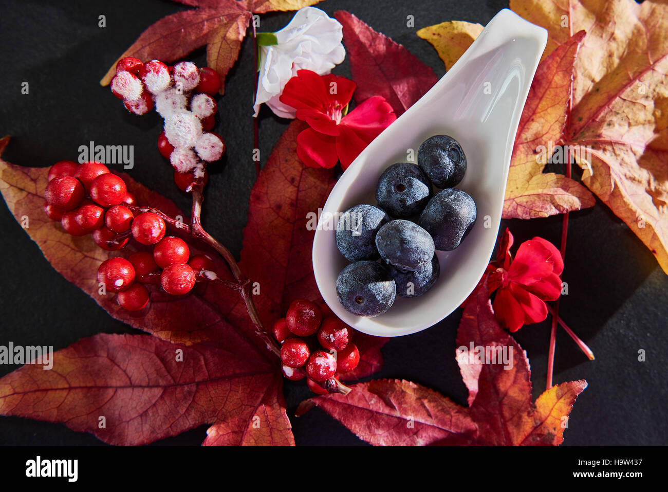 Red, Blue Berries with maple leafs blossoms arranged on a dark slate ...