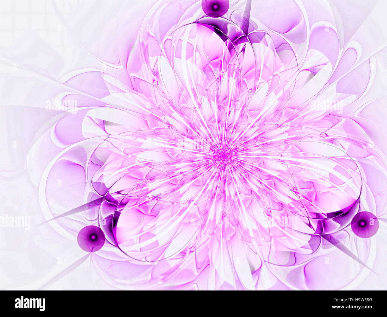 Fractal flower hi-res stock photography and images - Alamy