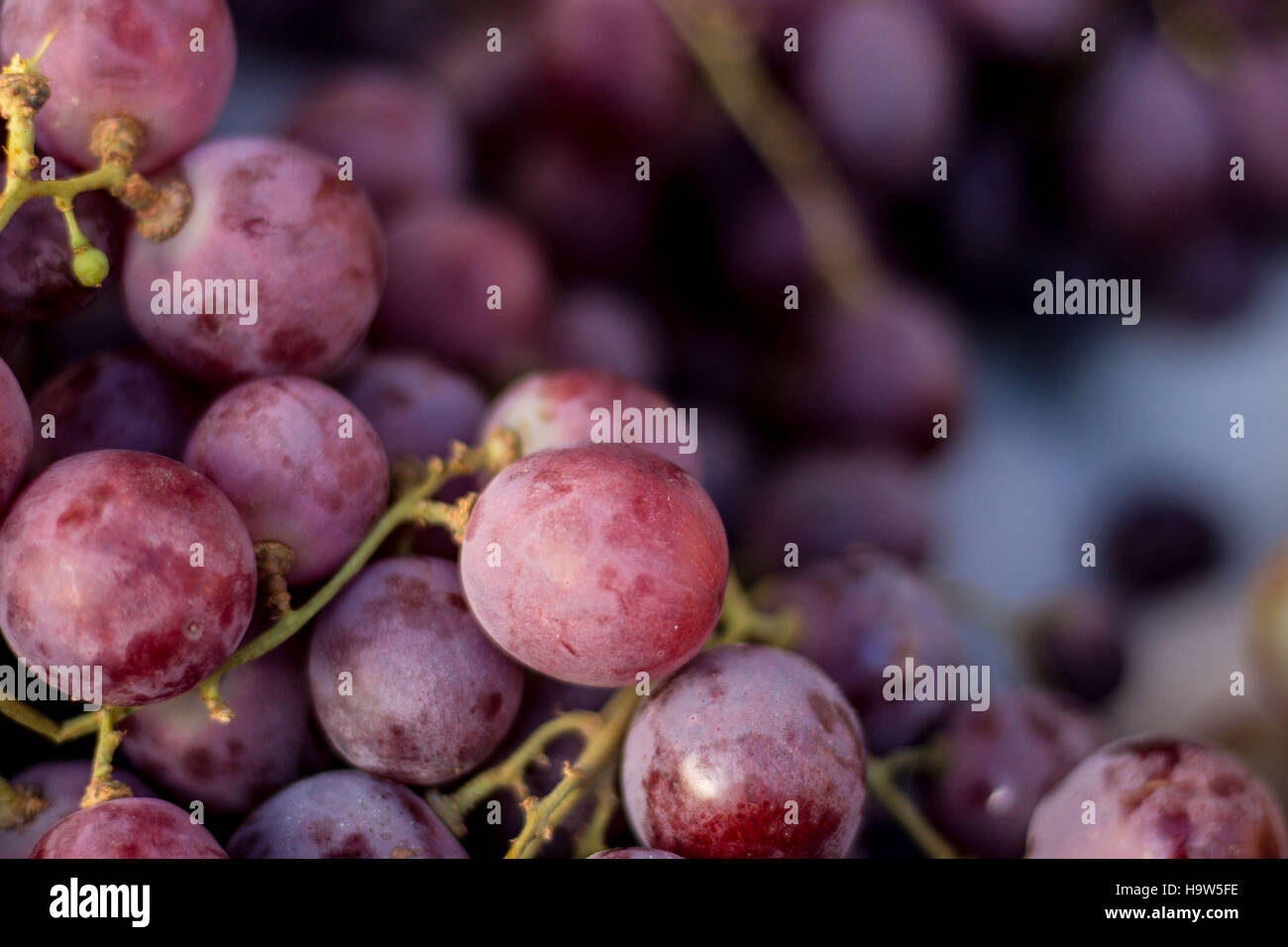 Bunch of grapes at farmers market Stock Photo - Alamy