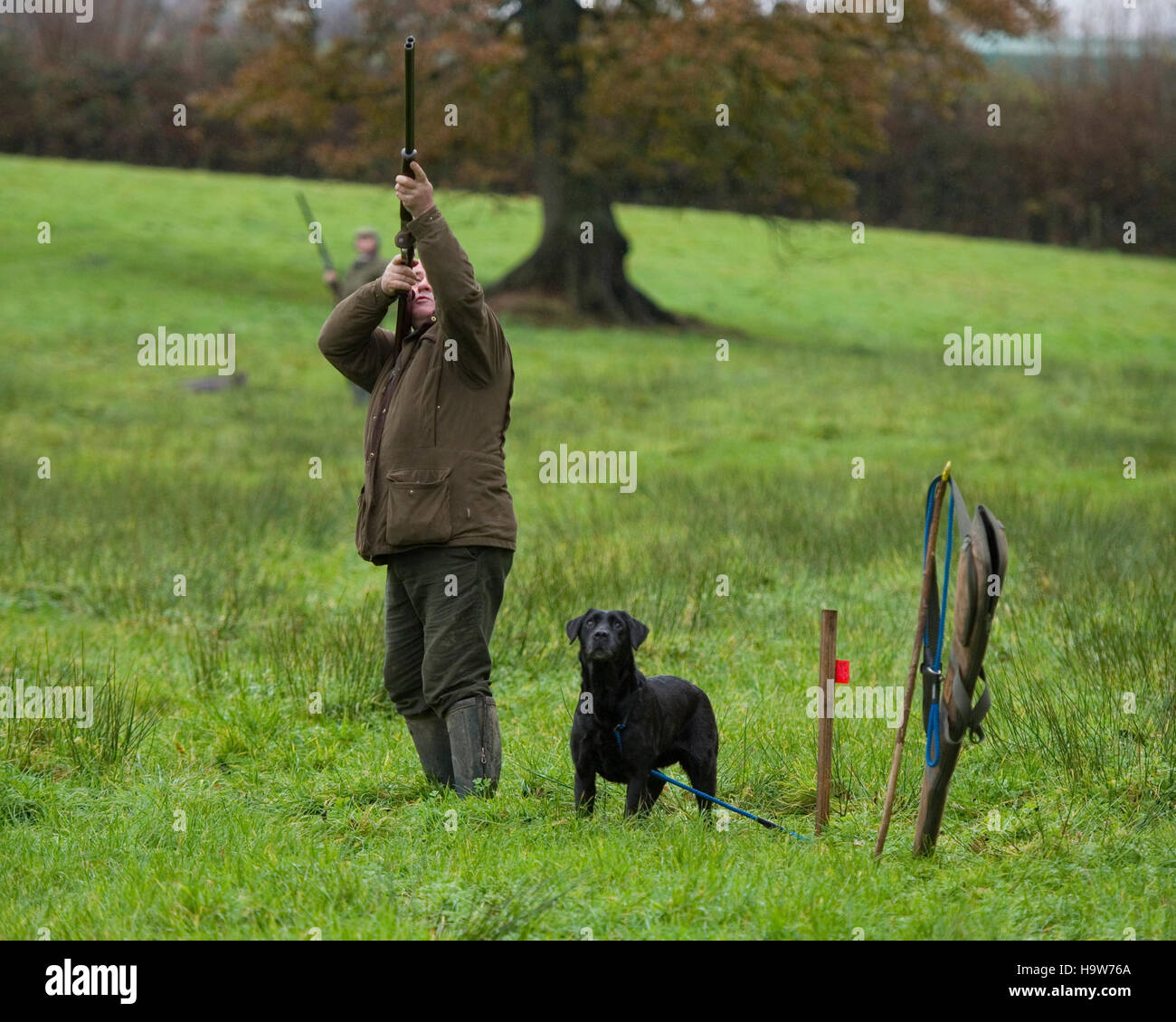 man and labrador on pheasant shoot Stock Photo - Alamy