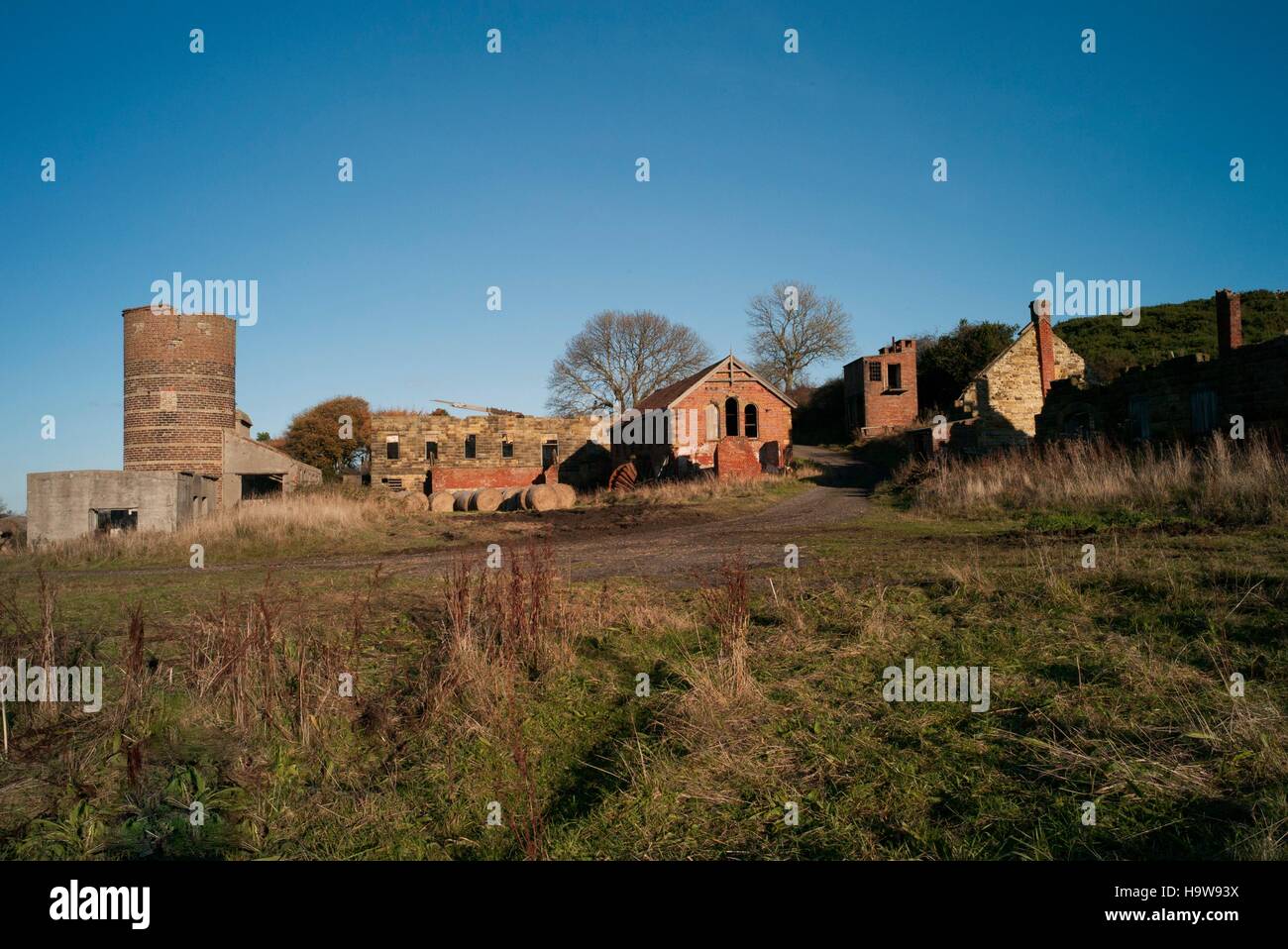 Skelton in East Cleveland Iron Stone Mine Stock Photo - Alamy