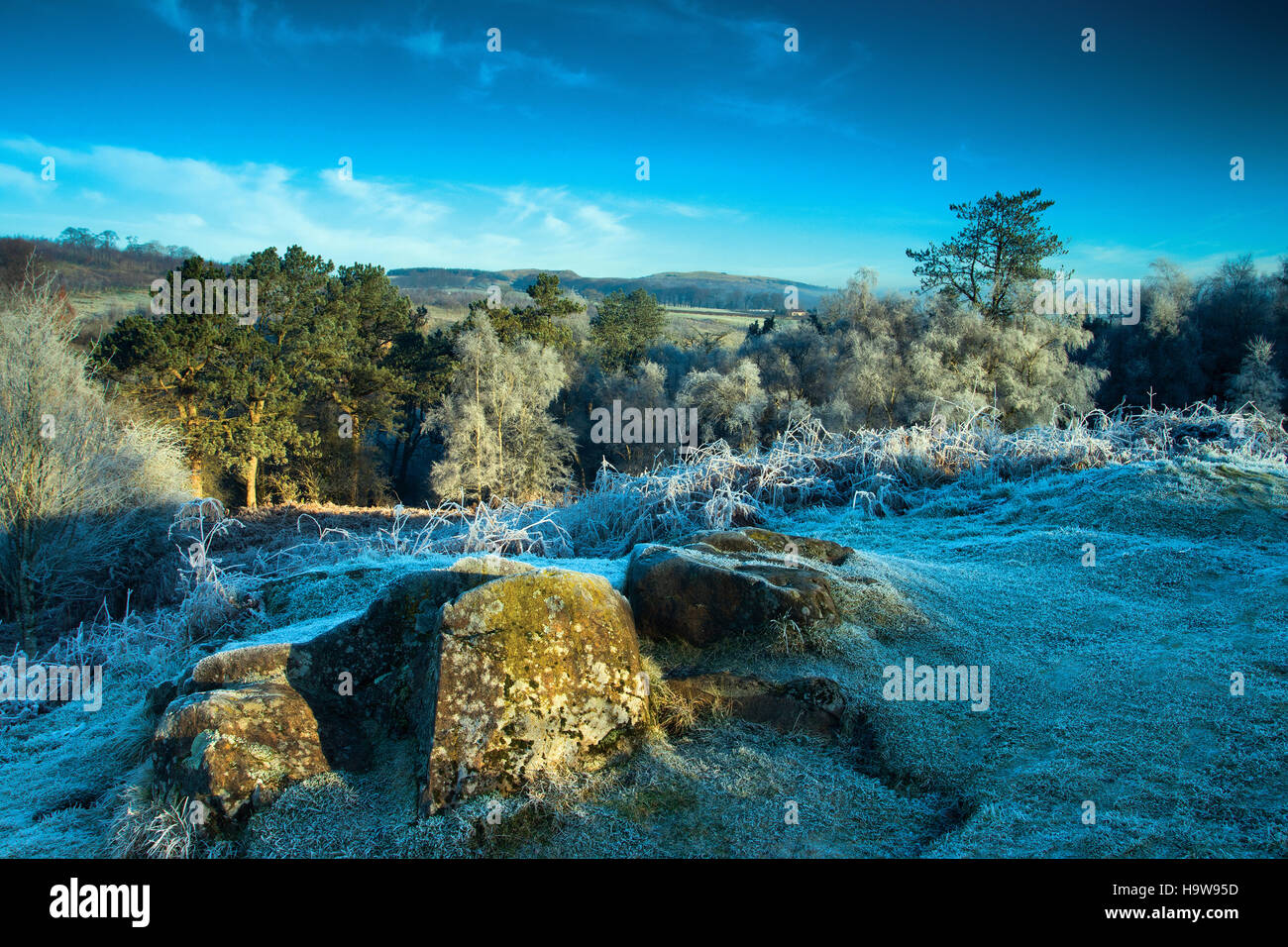 Cowden hi-res stock photography and images - Alamy