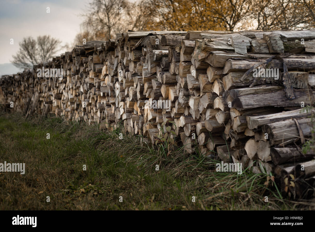 Stack of old chopped fire wood Stock Photo - Alamy