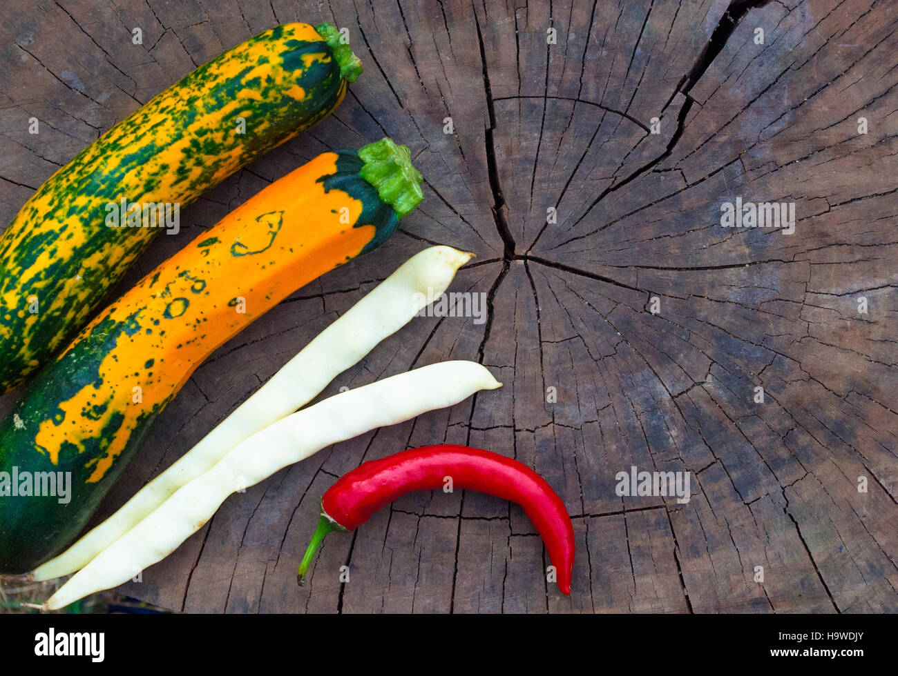 unusual green-orange zucchini, pods of white beans and red chilly on an ...