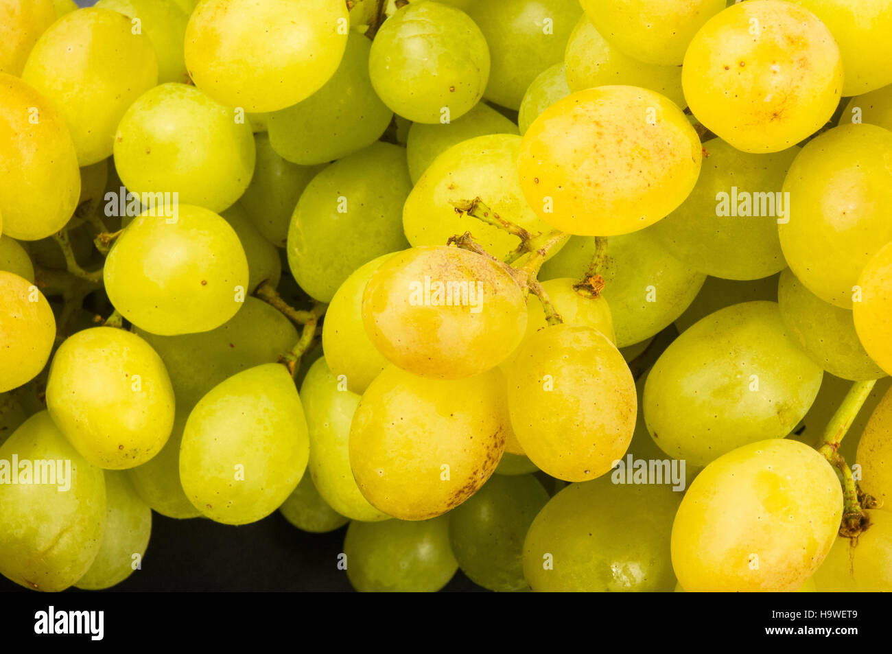 Large grapes cluster amber color on black background Stock Photo - Alamy