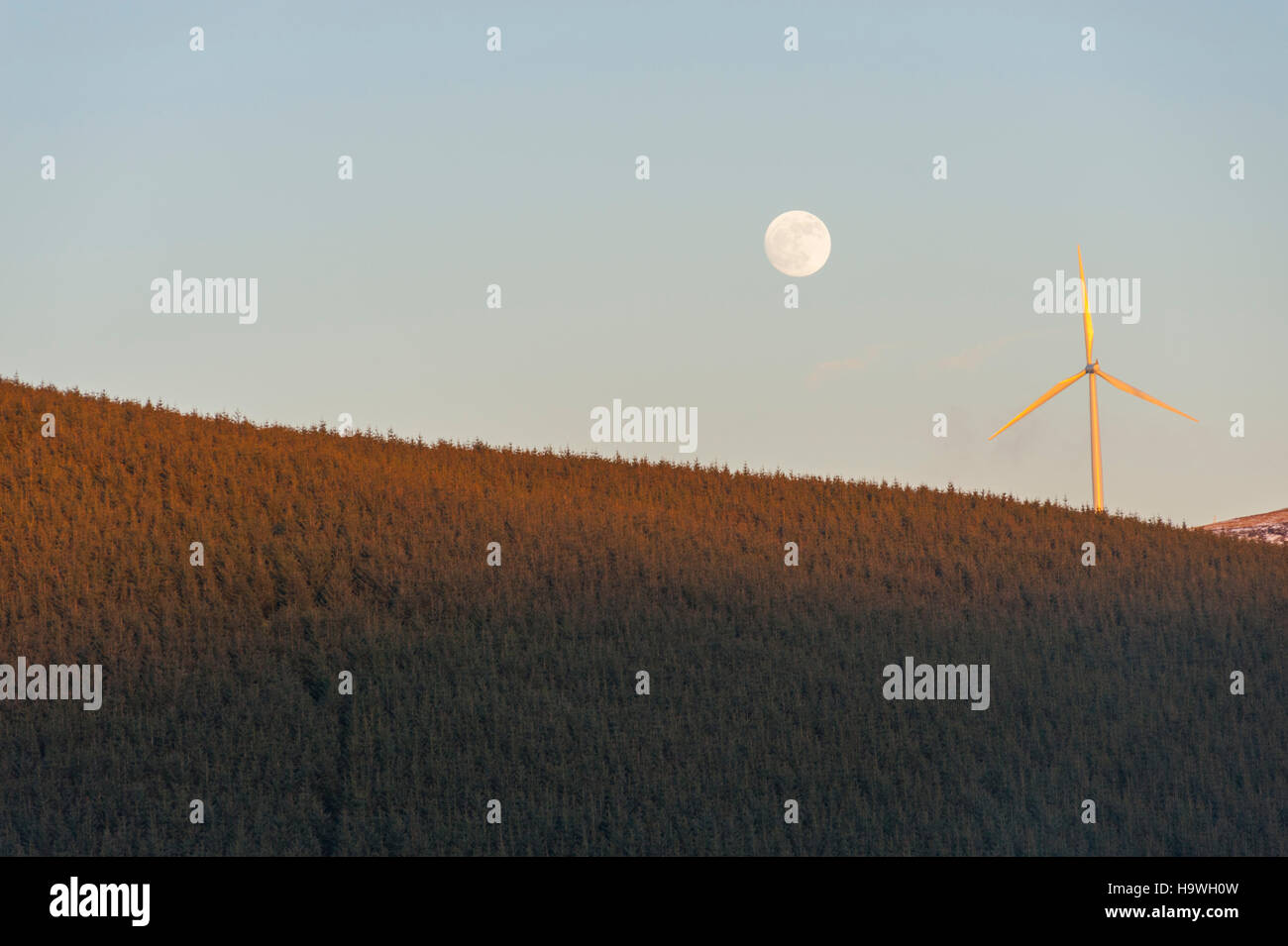 turbines of the clyde wind farm in lanarkshire scotland with a full ...