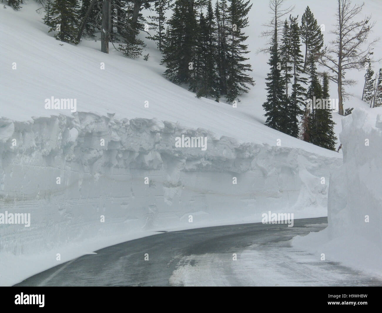 yellowstone Top of Sylvan Pass heading East Stock Photo - Alamy