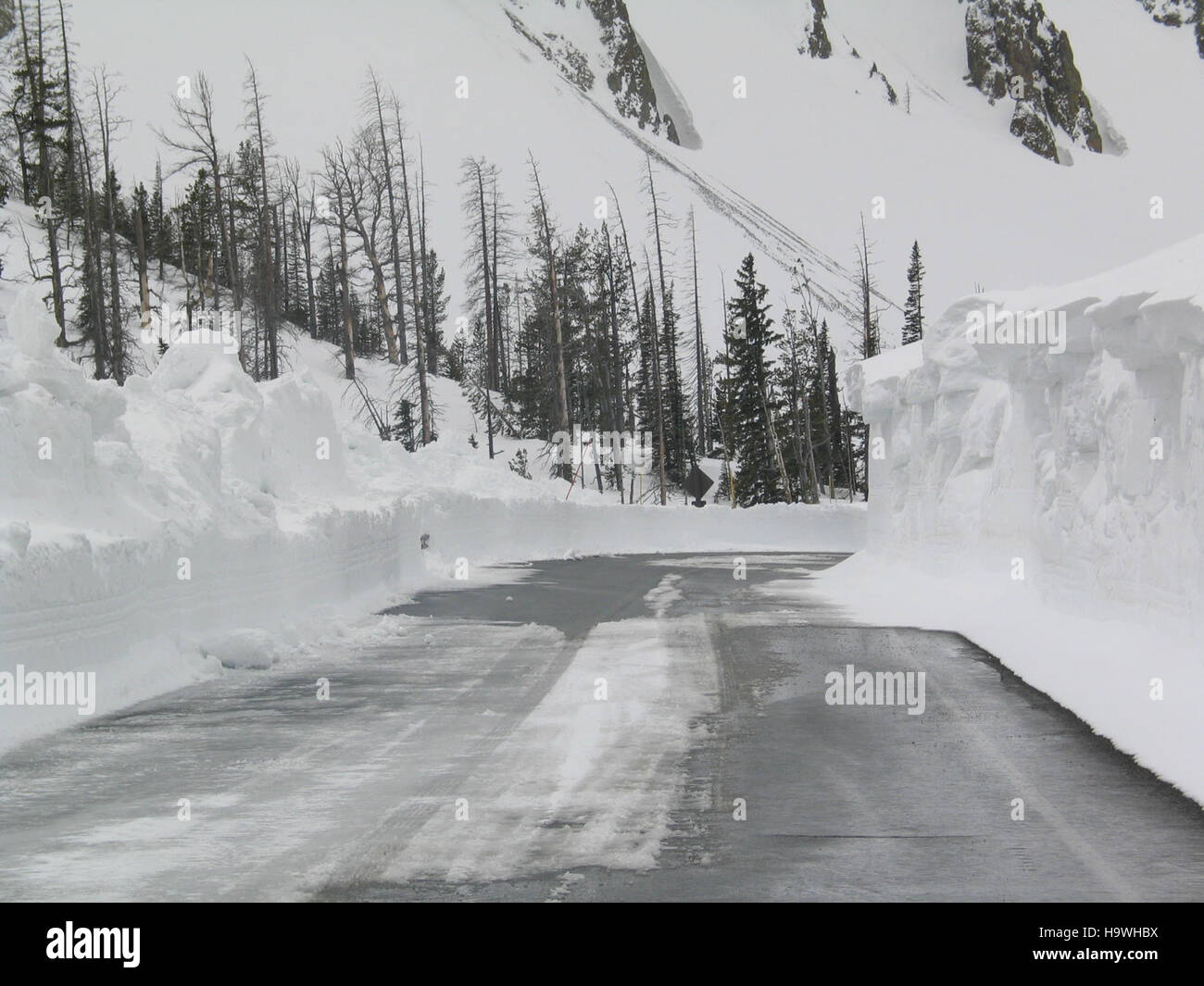 The top of Sylvan Pass in Yellowstone National Park offers a scenic ...