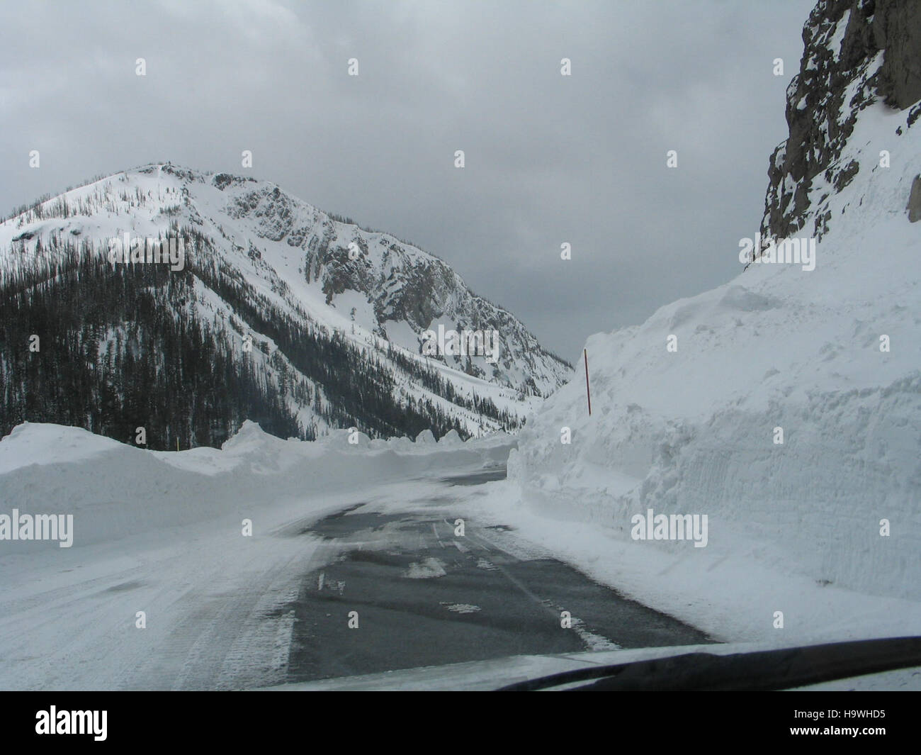 The Corkscrew Bridge area in Yellowstone National Park is a notable ...