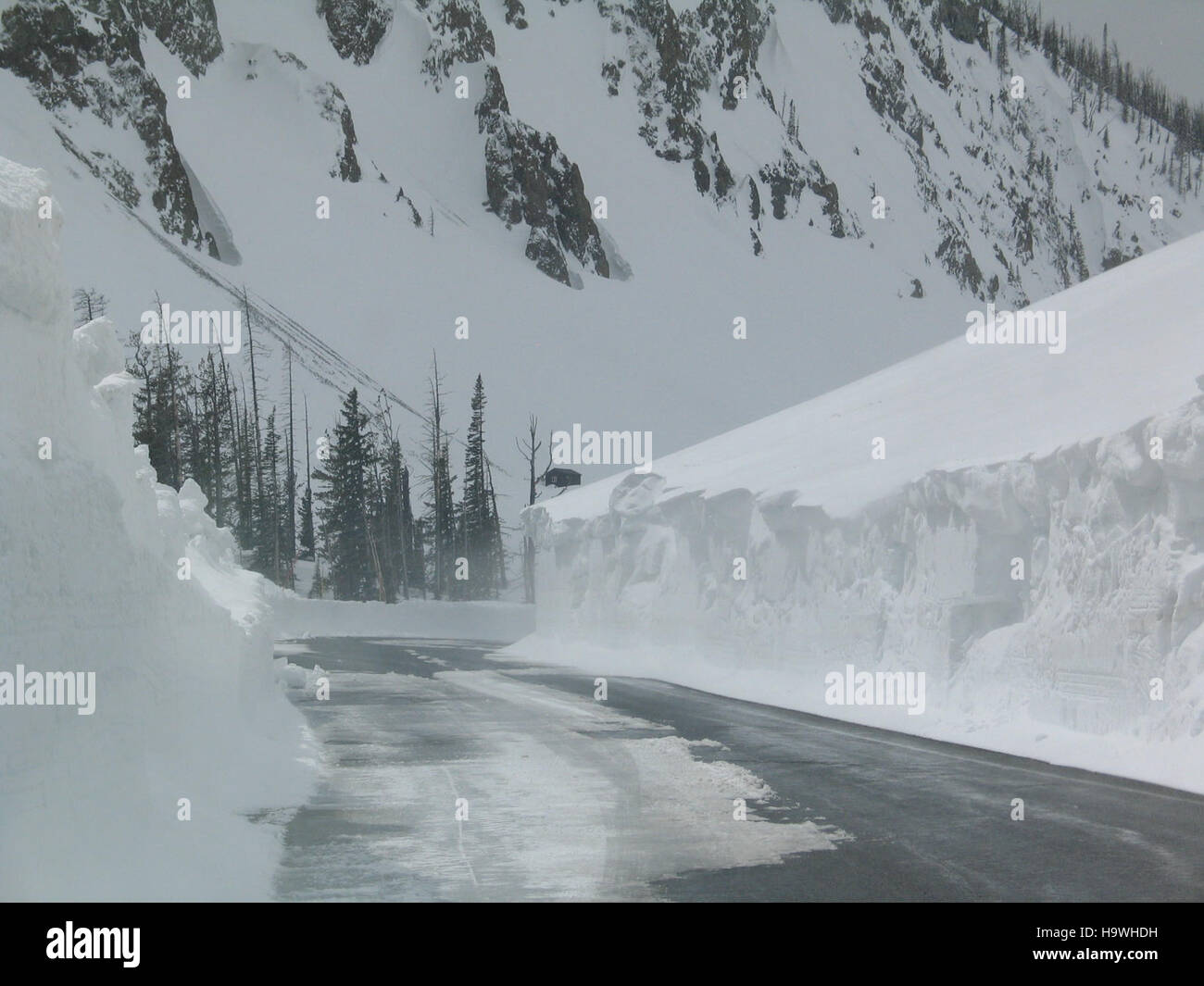 The Avalanche Gun Shack at Yellowstone National Park is part of the ...