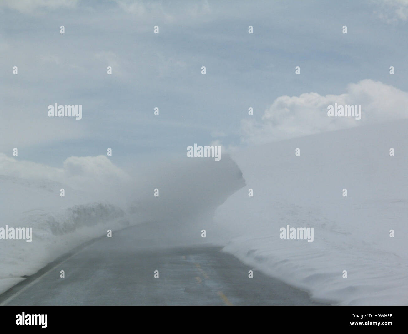A view of snow drifting along the South Entrance Road in Yellowstone ...