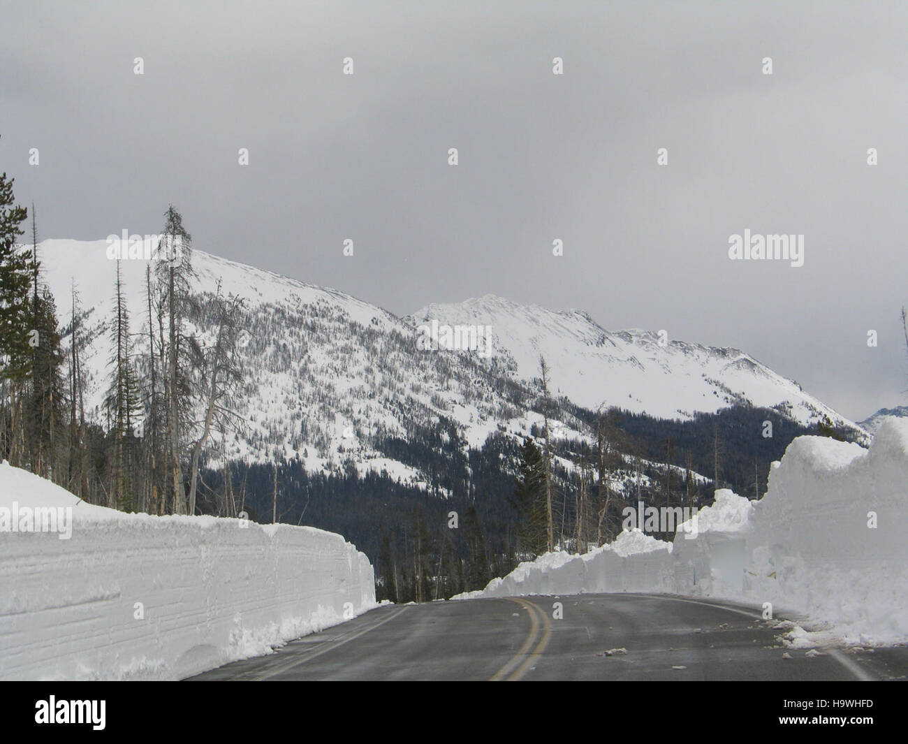 The East Entrance Road to Yellowstone National Park offers a scenic ...