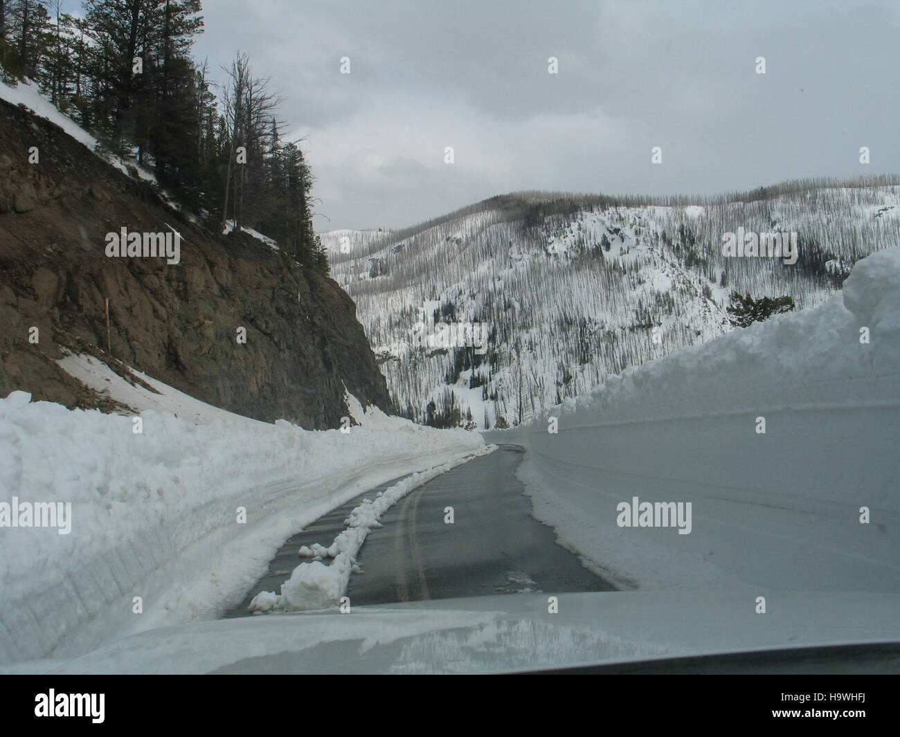 This photo captures the view looking east from the East Entrance of ...