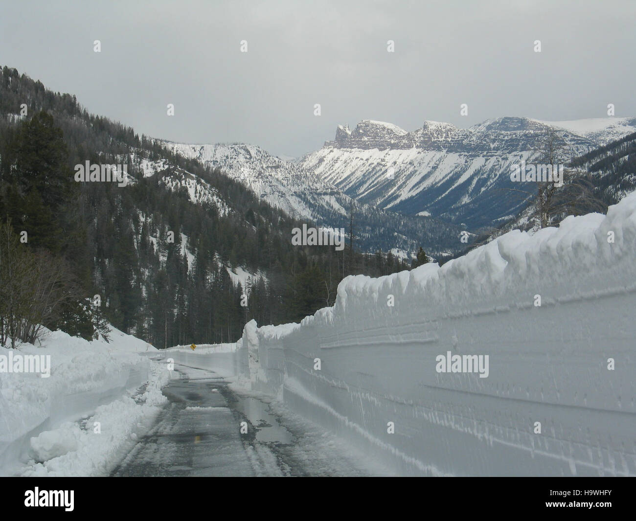 A view captured as visitors exit the East Entrance of Yellowstone ...