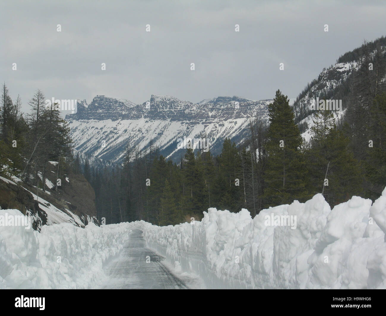 The East Entrance Road to Yellowstone National Park, a significant ...