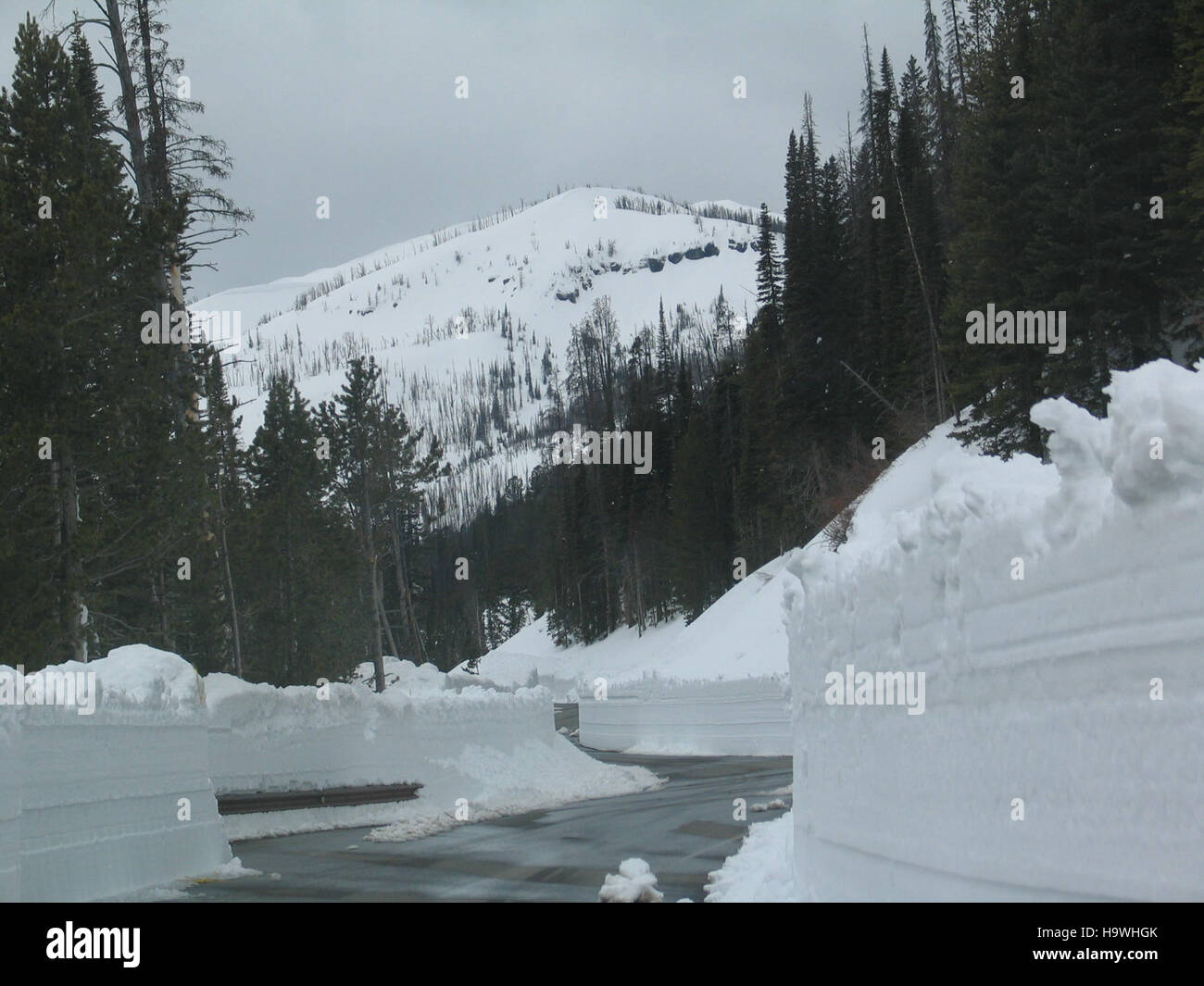 Yellowstone national park offers hi-res stock photography and images ...