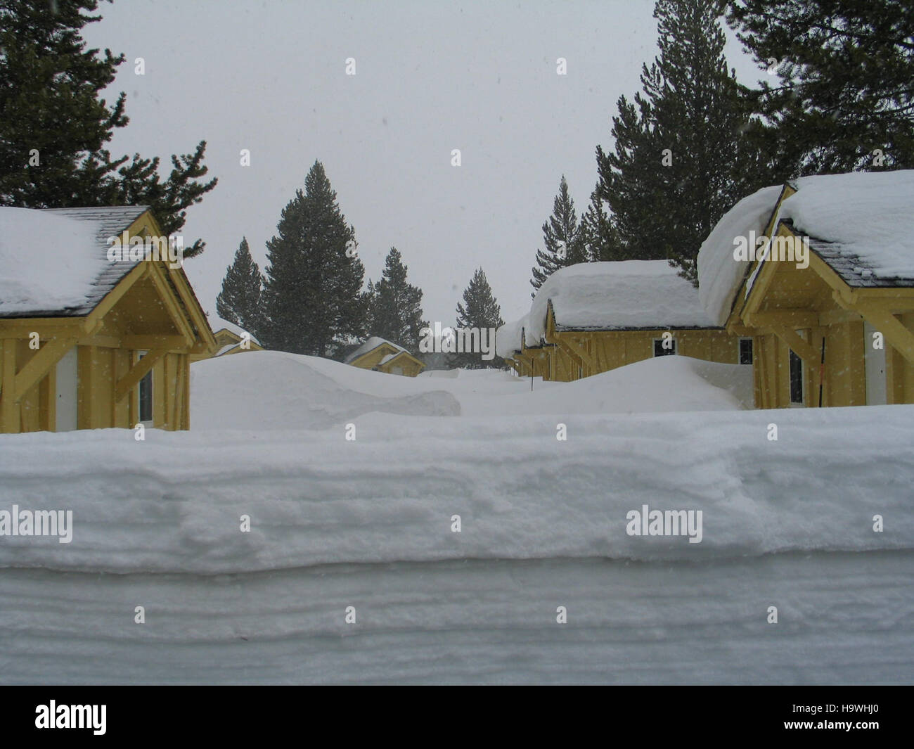 This image shows the snow depth at Lake Cabins in Yellowstone National ...