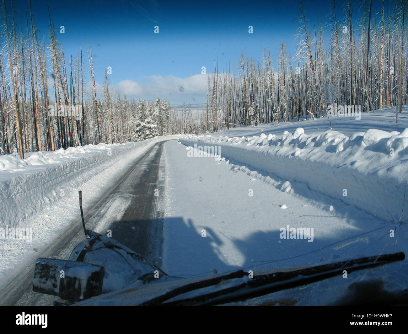 The East Entrance Road at Yellowstone National Park offers scenic views ...