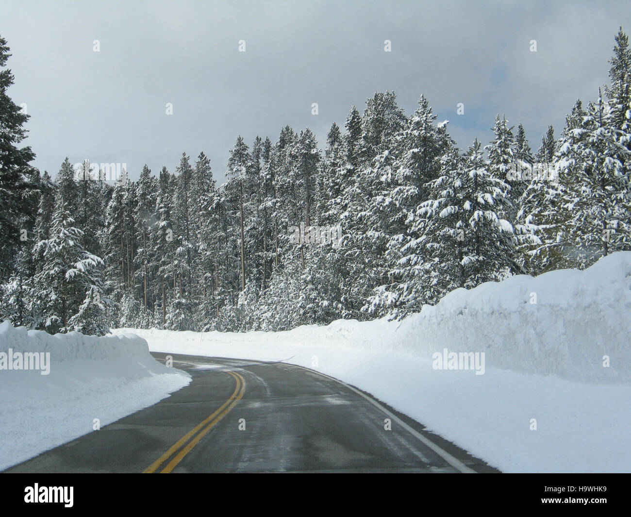 Lake to Grant, a picturesque section of Yellowstone National Park ...