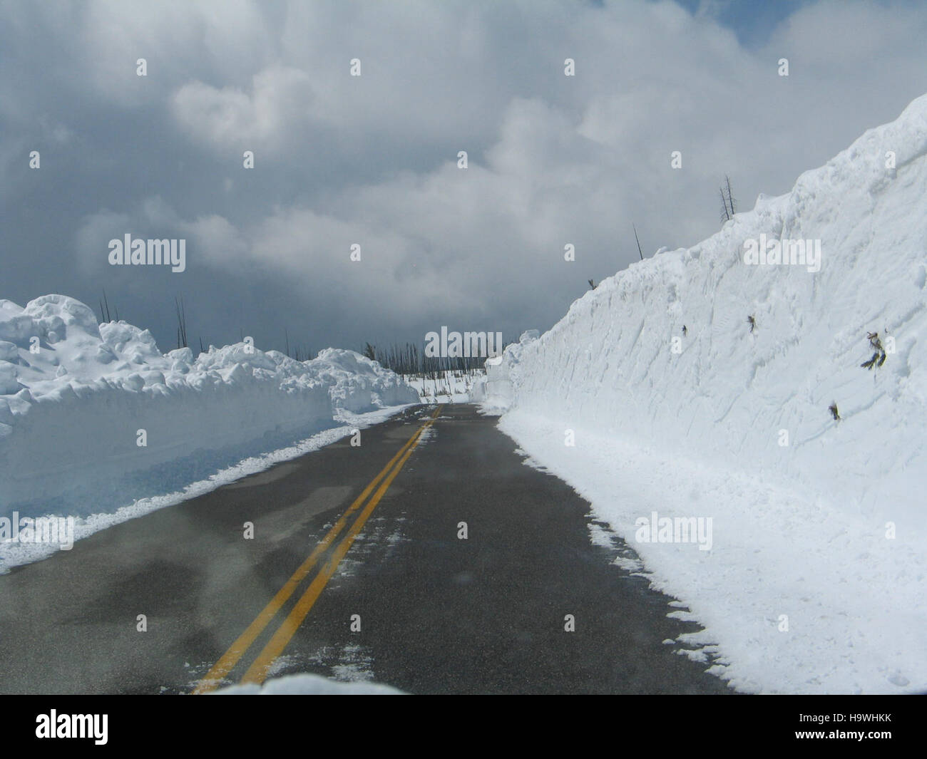 yellowstonenps 8579065962 Lewis Canyon (10 Stock Photo - Alamy