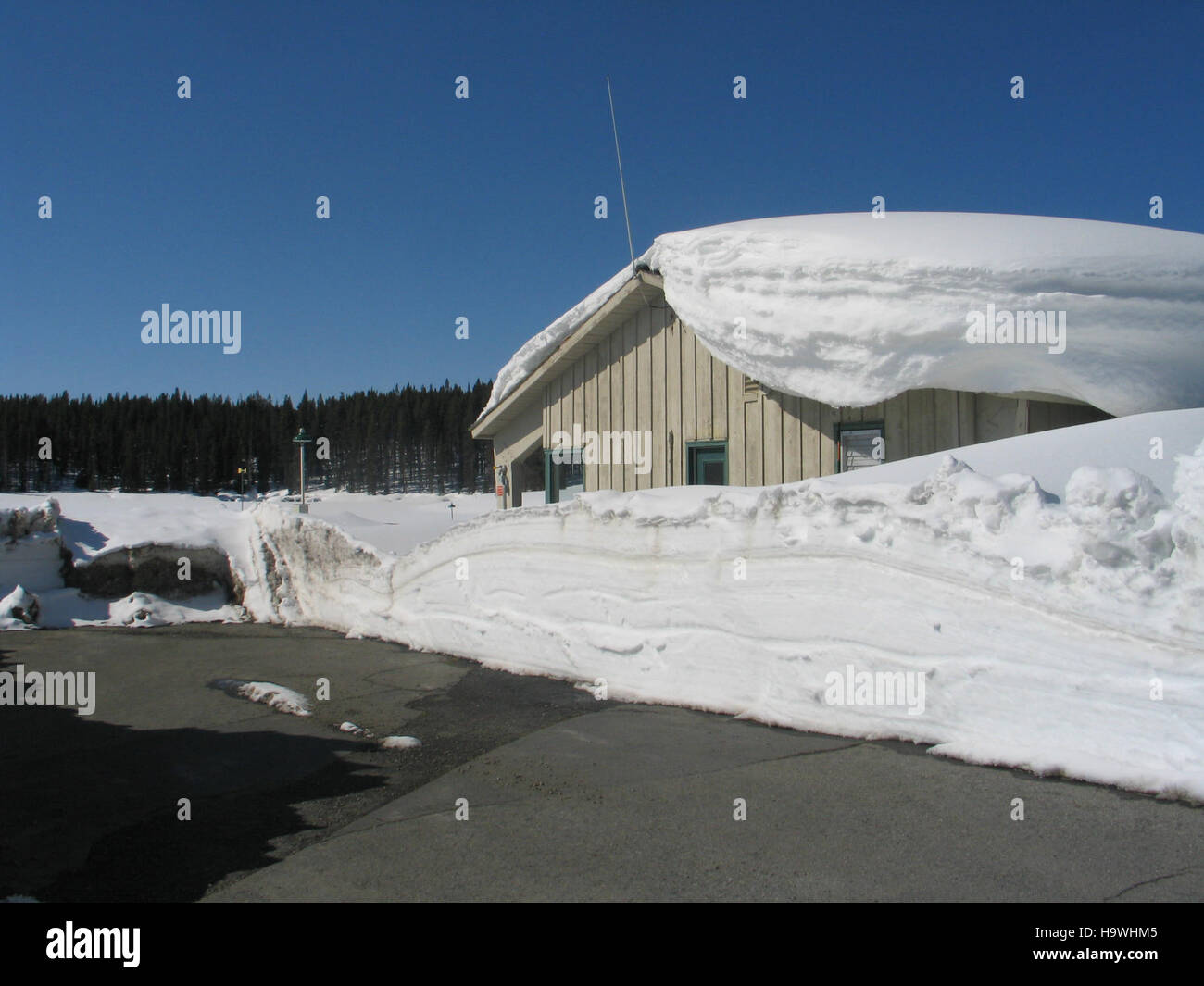 Bridge Bay Marina in Yellowstone National Park offers recreational ...