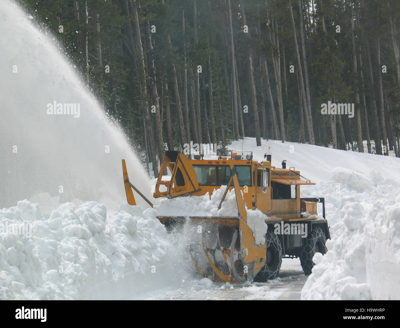 yellowstonenps 8579059620 Plowing Craig Pass (18 Stock Photo - Alamy