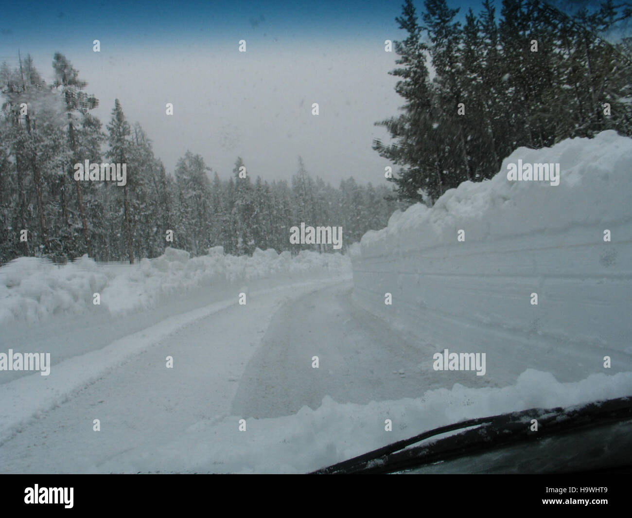 A view from Craig Pass in Yellowstone National Park, capturing the ...