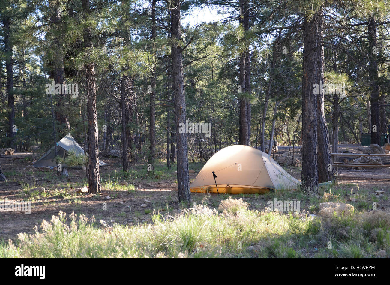 A photo from the National Park Service showing the Mather Campground at ...