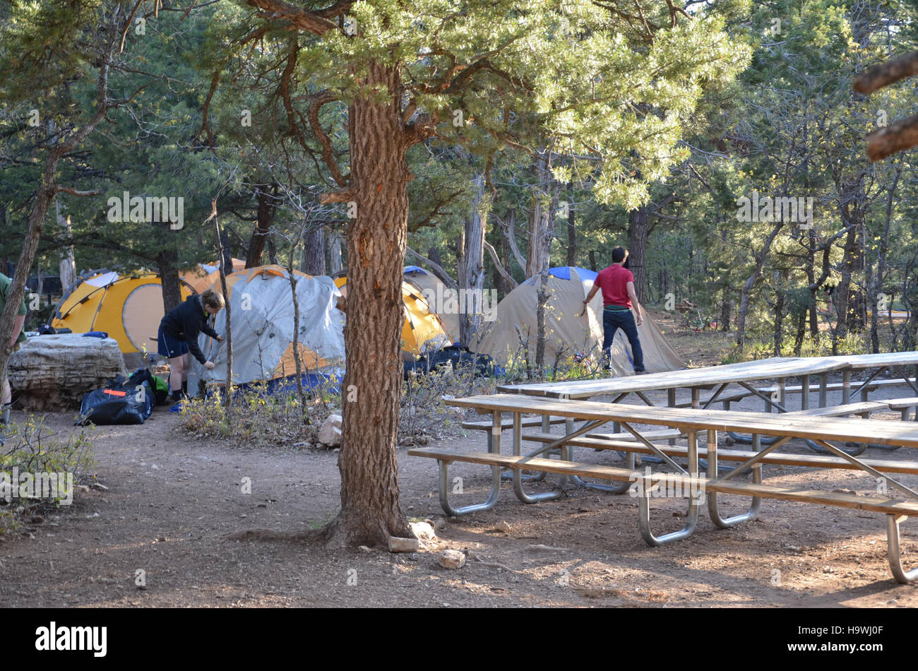 Mather Campground, located within the Grand Canyon National Park ...