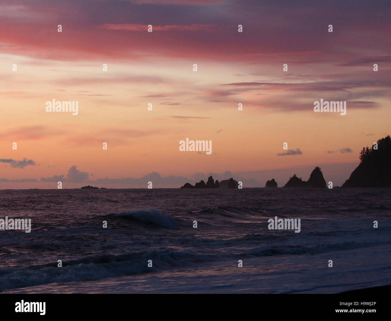 Olympic National Park in Washington State is known for its diverse ...