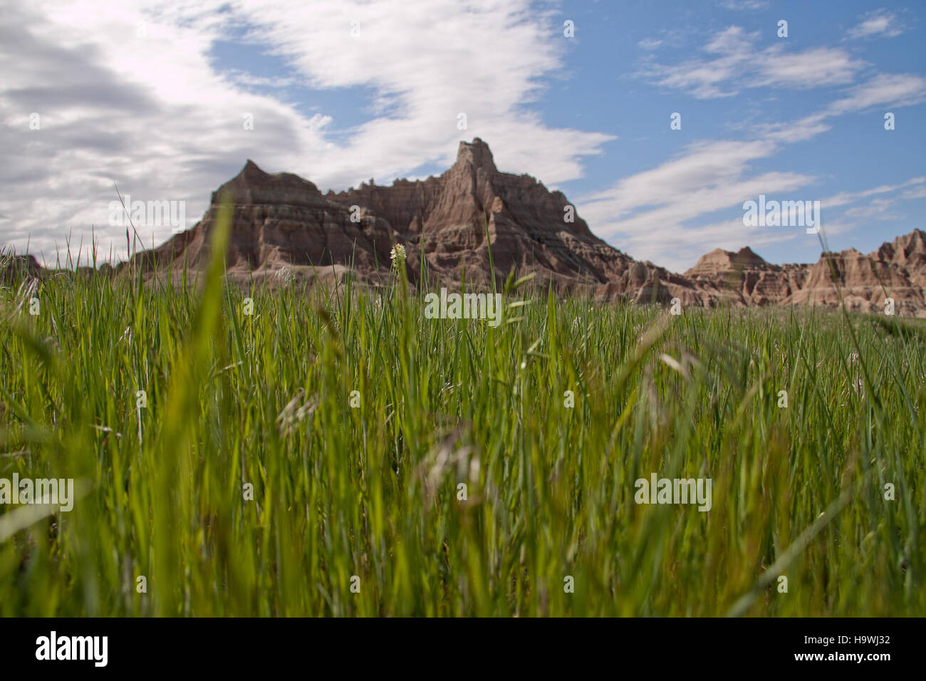 Badlands National Park features distinctive buttes and vibrant spring ...
