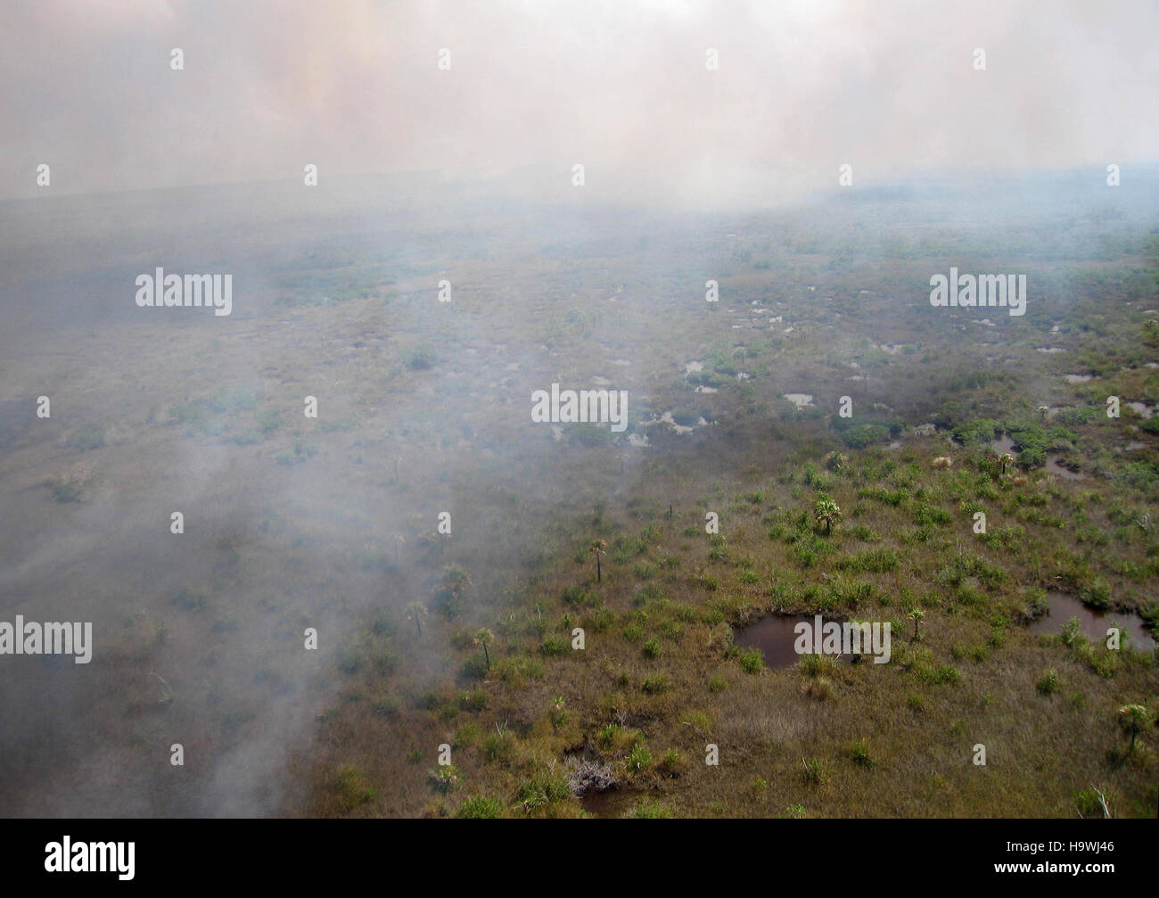 This controlled burn in the Everglades Coastal Prairie helps to restore ...