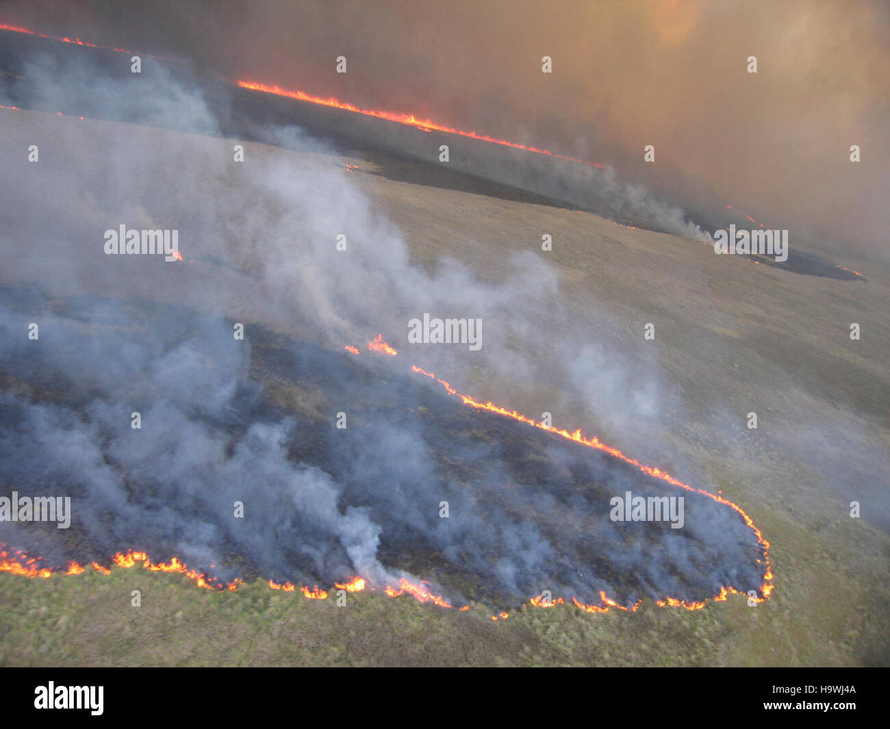 A controlled burn in the Everglades National Park's coastal prairie ...