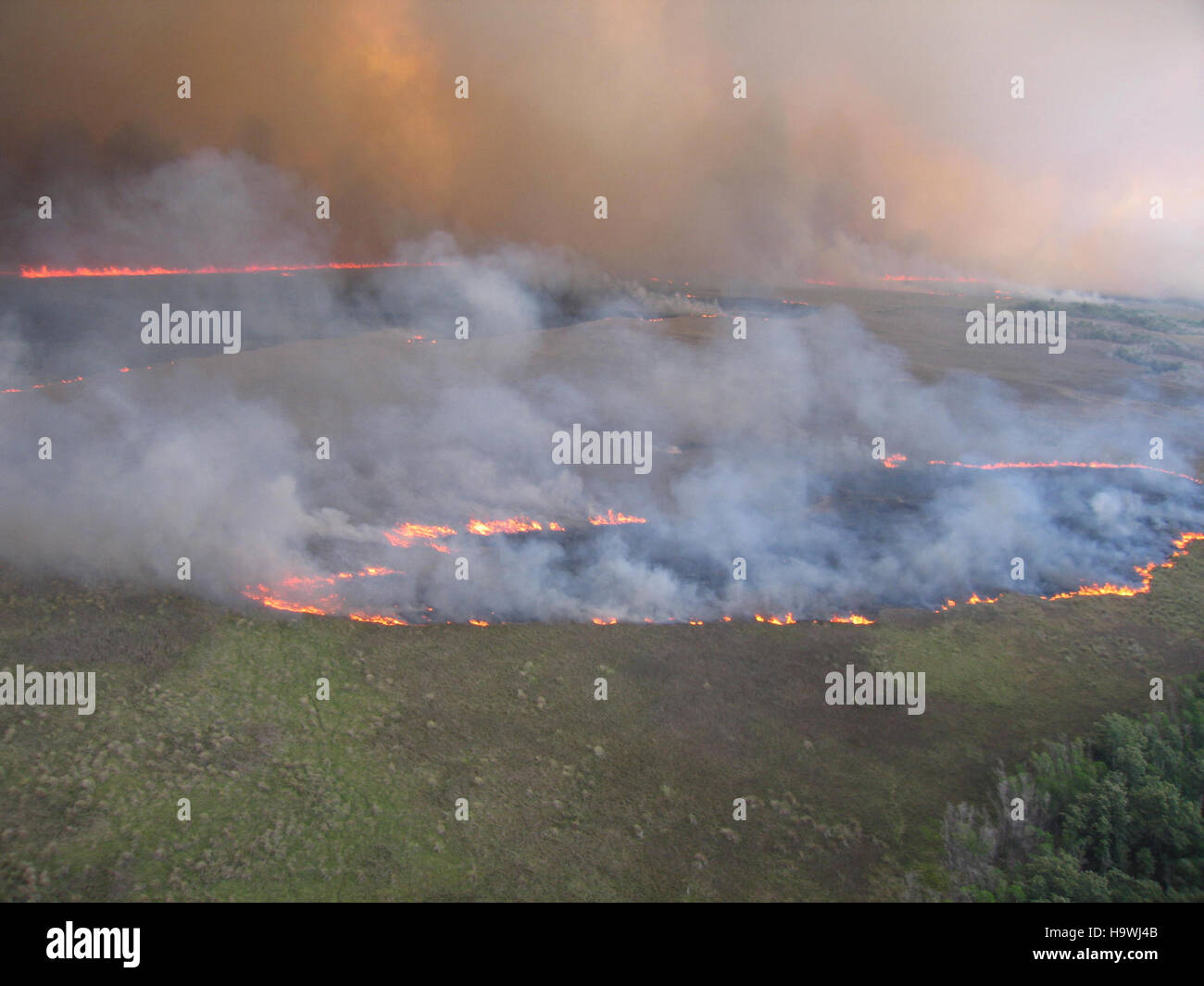 A controlled burn in the Coastal Prairie of Everglades National Park ...
