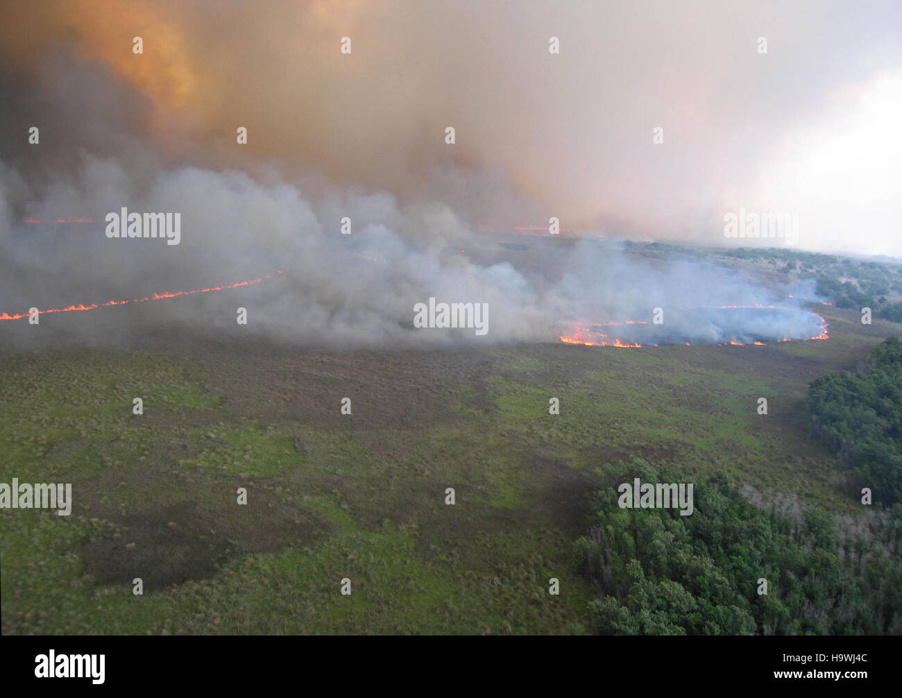 The prescribed coastal prairie burn in Everglades National Park is a ...