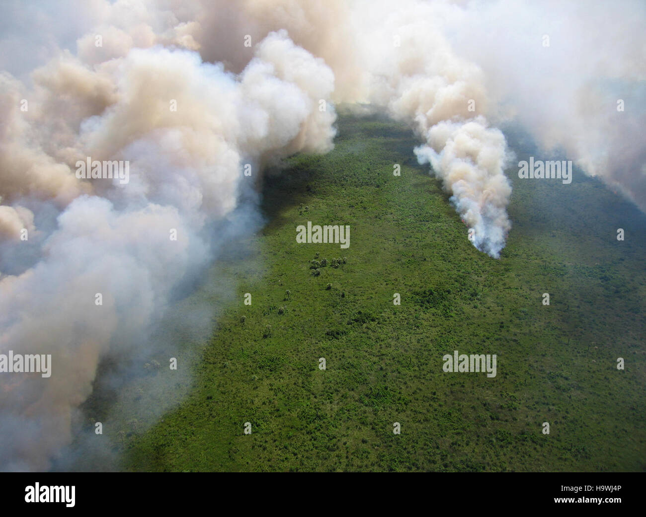 The Everglades National Park conducts controlled burns to maintain the ...