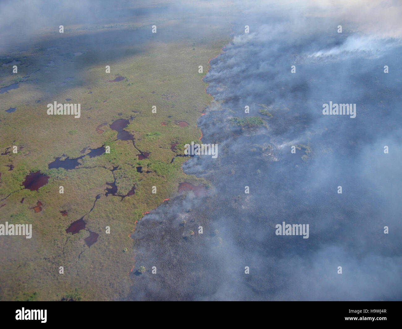 A controlled burn was conducted in the Everglades National Park’s ...