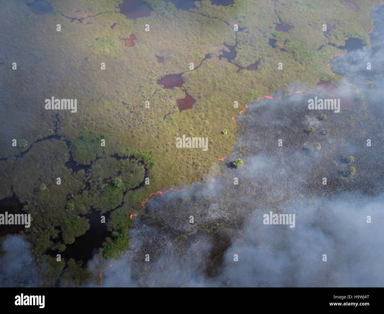 The Everglades National Park is known for its diverse ecosystems ...
