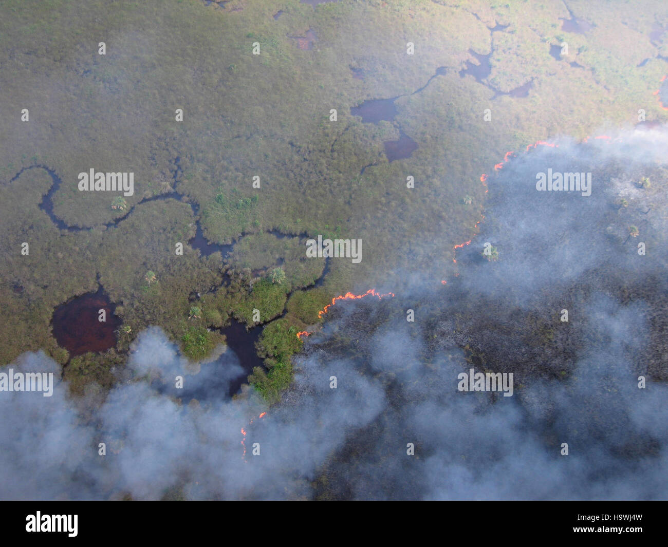 A controlled burn in the Everglades National Park's coastal prairie ...