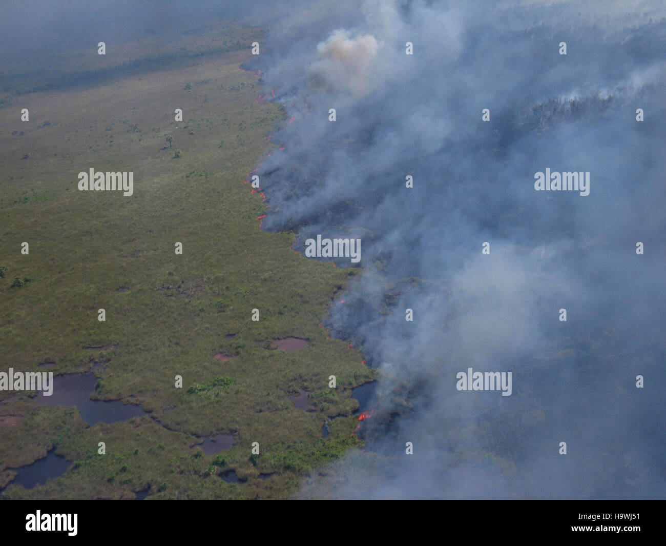 The Everglades National Park conducts controlled burns, such as Coastal ...