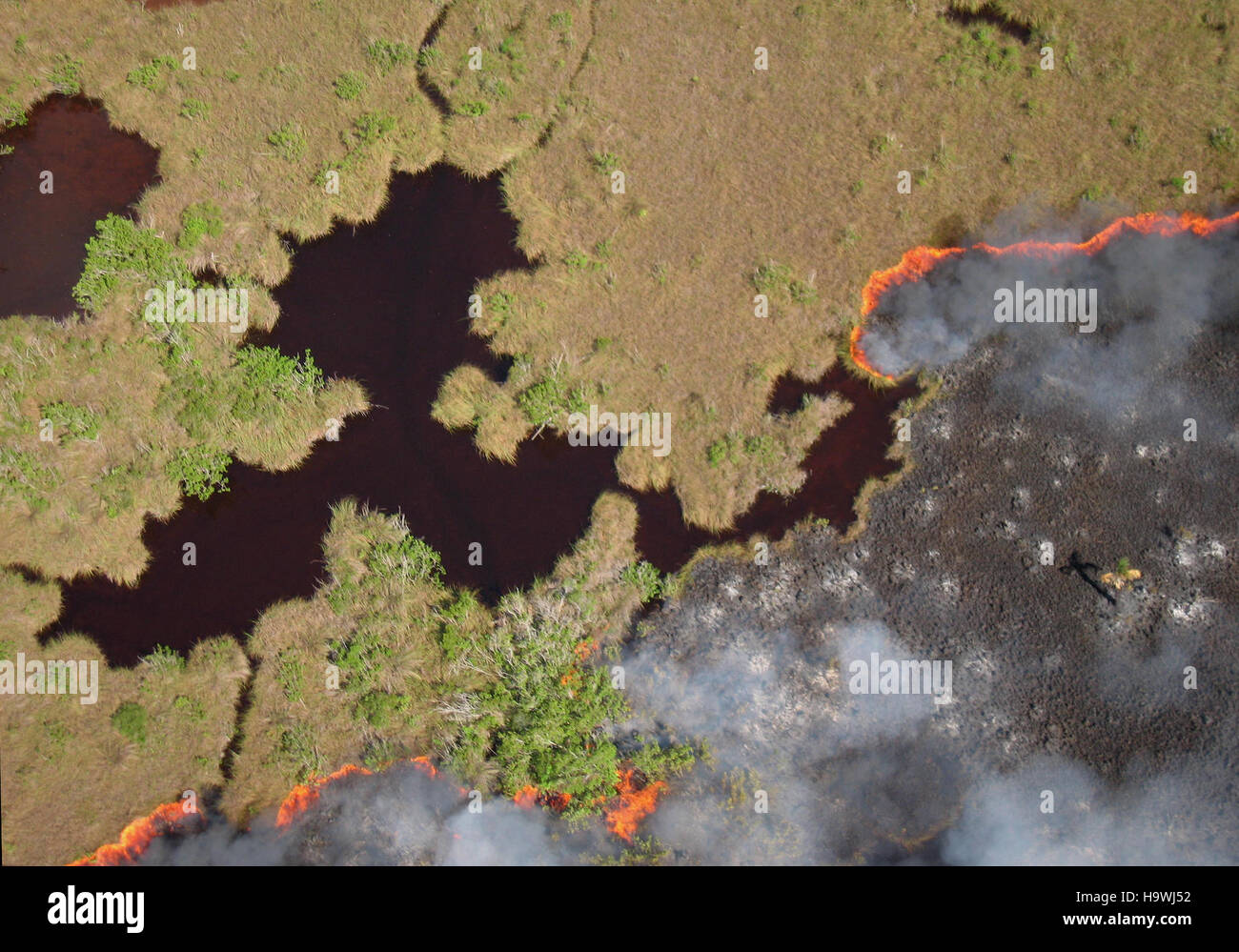 A controlled burn in the Everglades National Park's coastal prairie ...