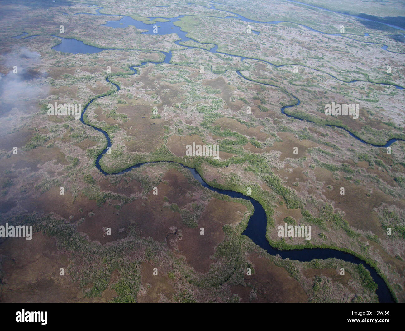 A controlled burn in the coastal prairie of Everglades National Park ...
