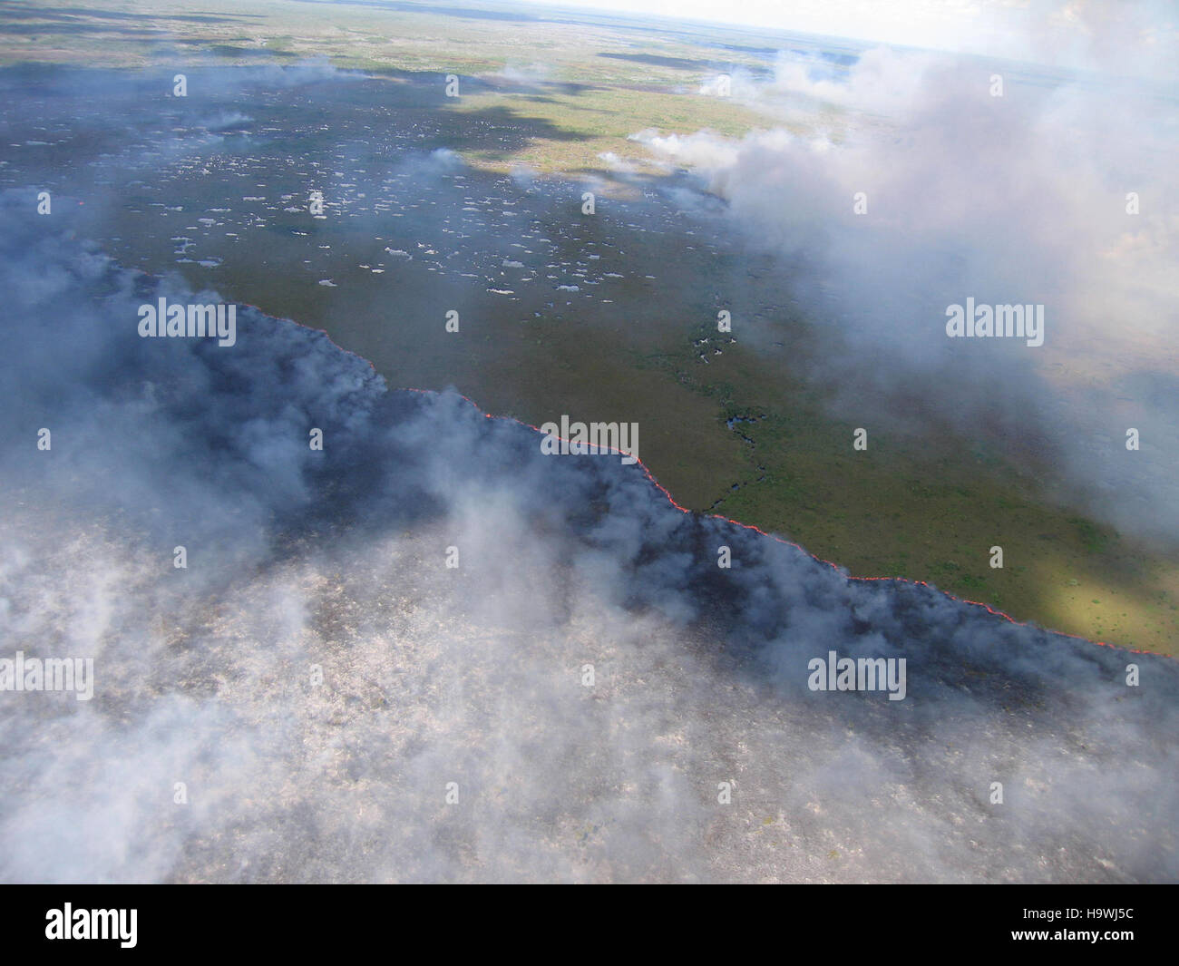A controlled coastal prairie burn in the Everglades National Park is an ...