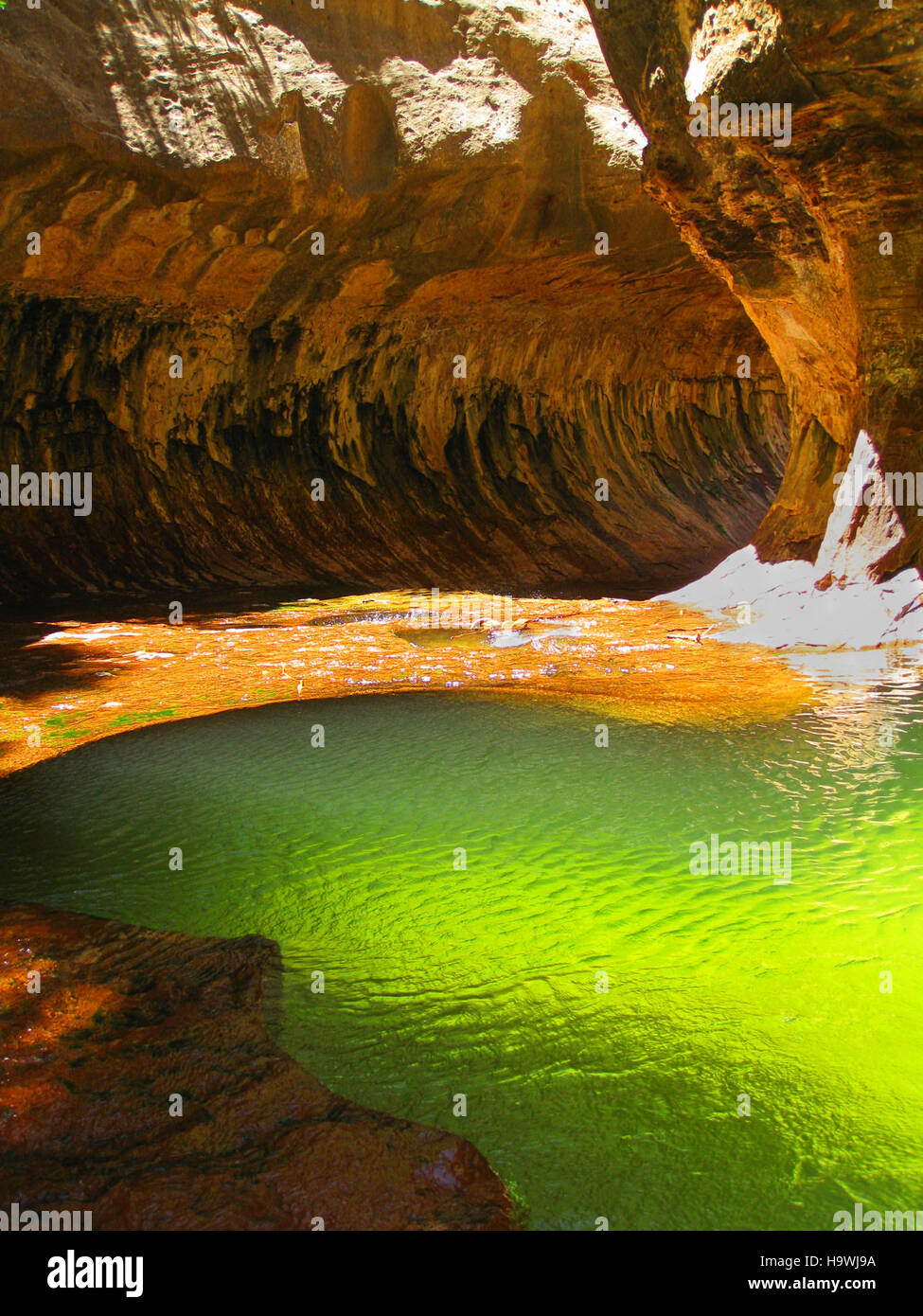 The Left Fork, also known as The Subway, in Zion National Park offers a ...