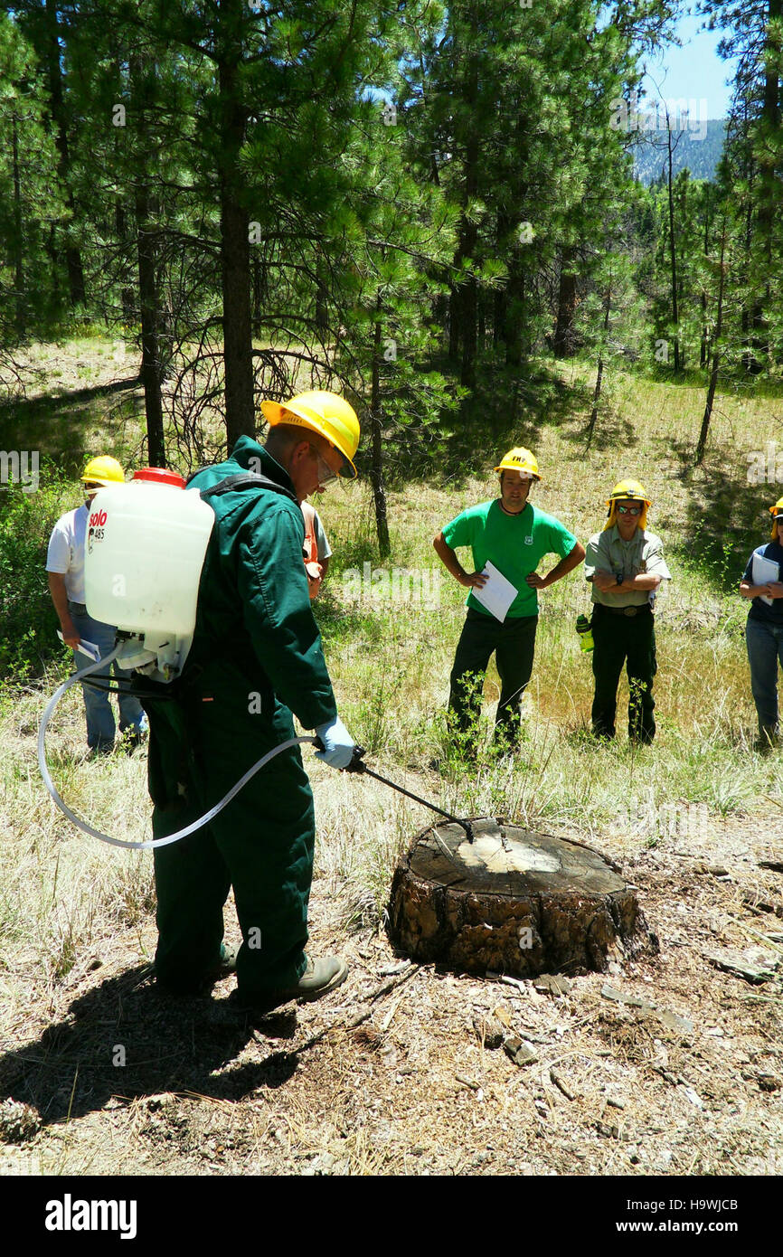 A Department of Agriculture image depicting the Federal Food Program ...
