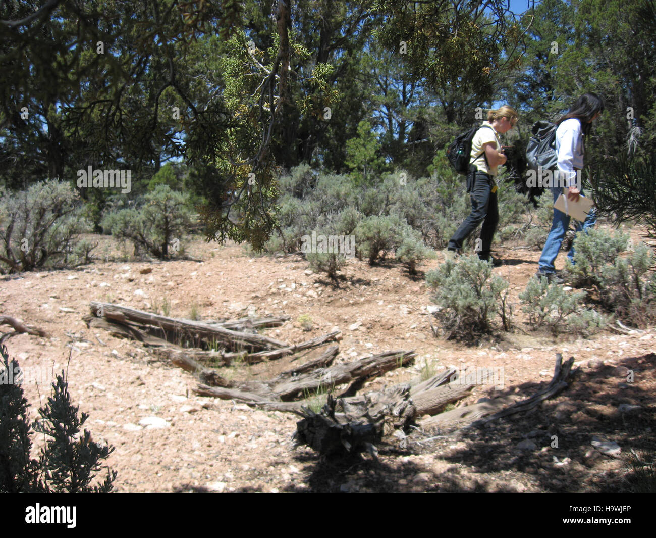 The Grand Canyon National Park preserves both natural and historical ...